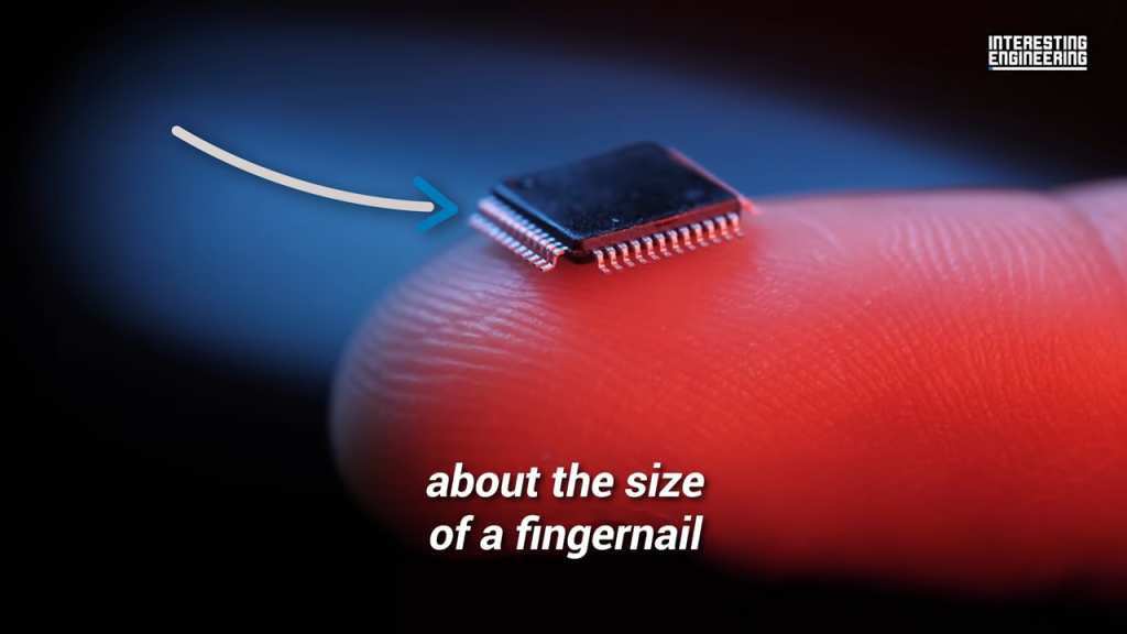 How Do I Know If I Have A Chip In My Body? Find 20 Best Ways - Spoonyo